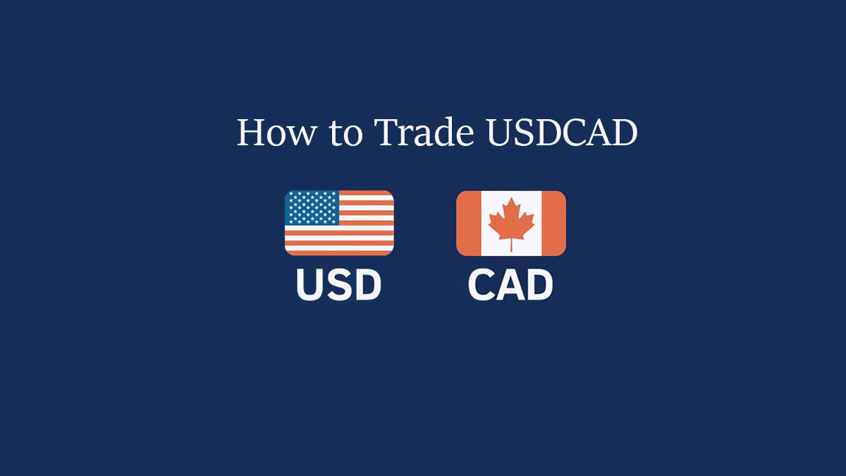 How to Trade USDCAD | Canadian Dollar Trading | IFCM