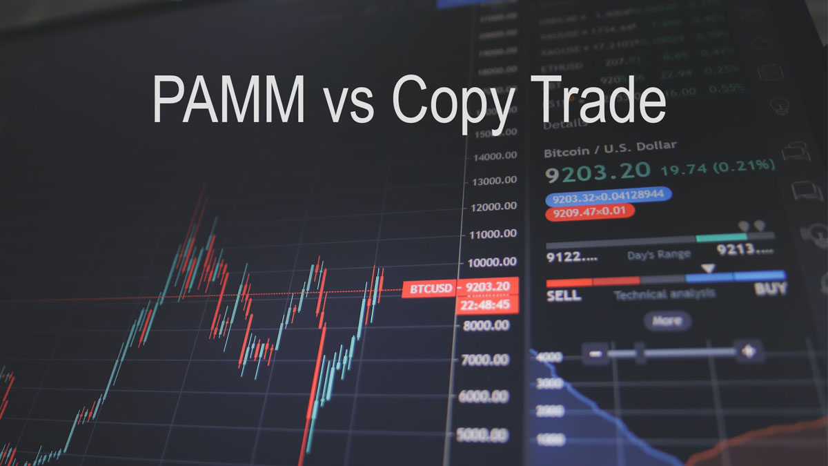 PAMM vs Copy Trade | IFCM